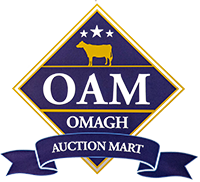 Omagh Auction Mart Reports